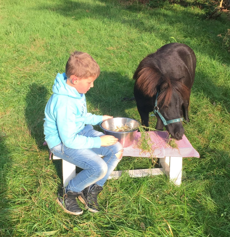 Blick hinter die Kulissen – Horsti testet EMMA CARE auf unserem Hof ...